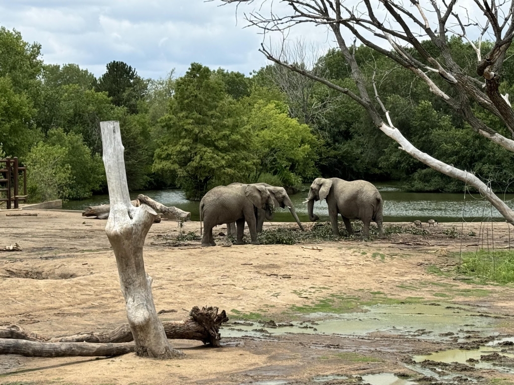 Sedgwick County Zoo, Wichita, KS: Information, Tickets and Reviews
