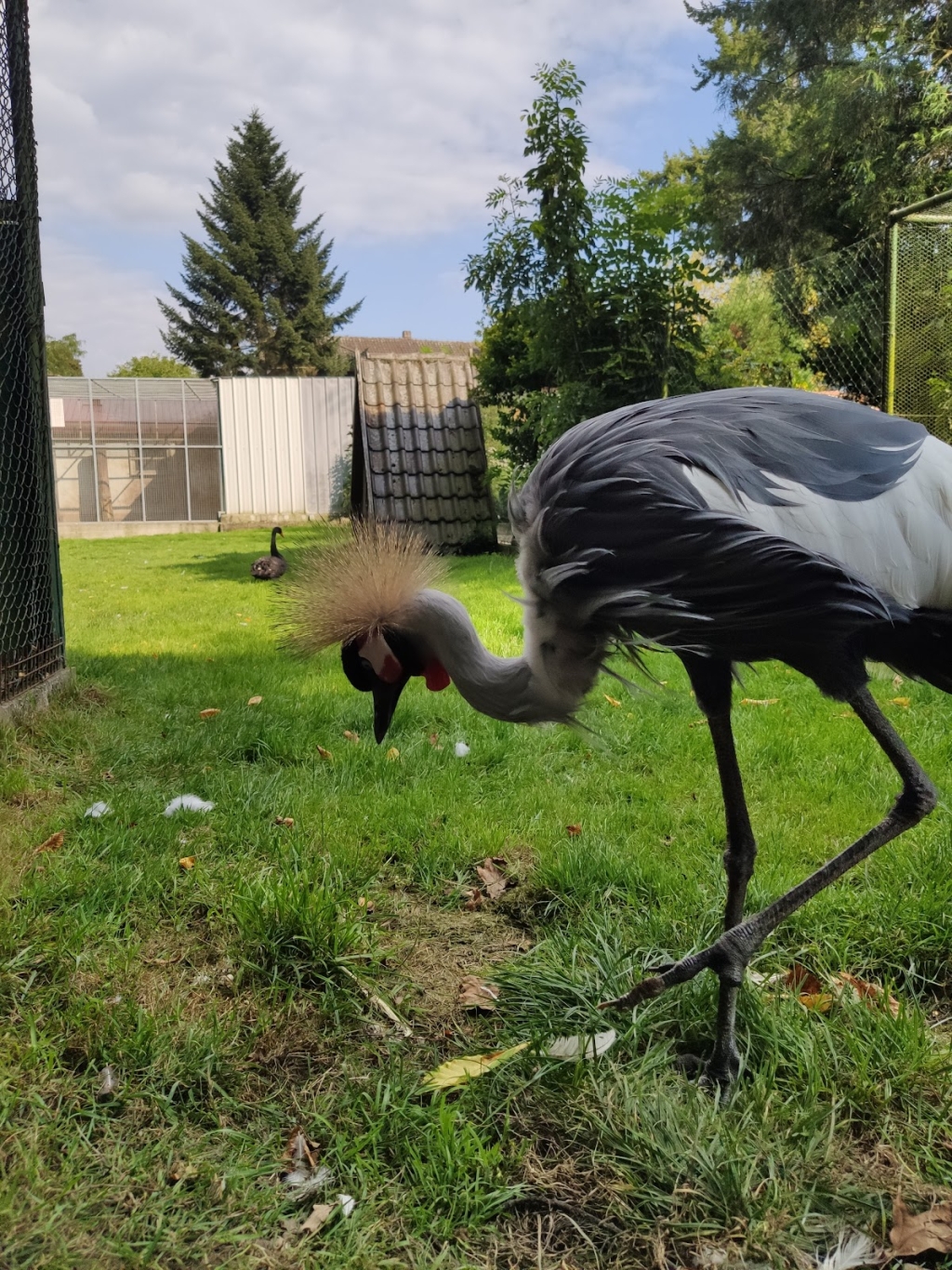 Peacock Garden, Ellwangen (Jagst): Information, Tickets and Reviews