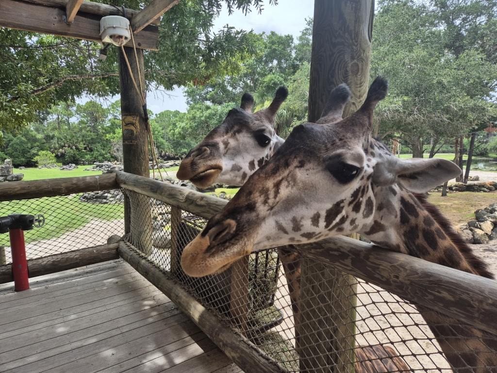 Brevard Zoo, Melbourne, FL: Information, Tickets and Reviews