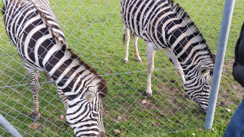 Rauch Museum, Freudenberg: Information, Tickets and Reviews