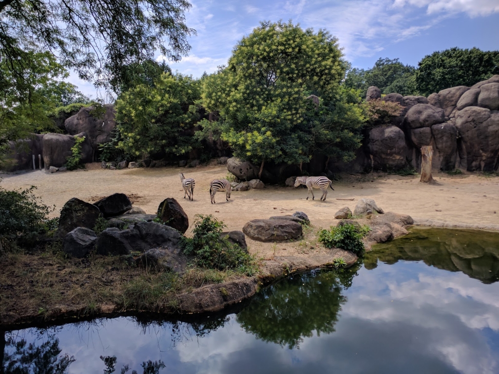 The Maryland Zoo in Baltimore: Information, Tickets and Reviews