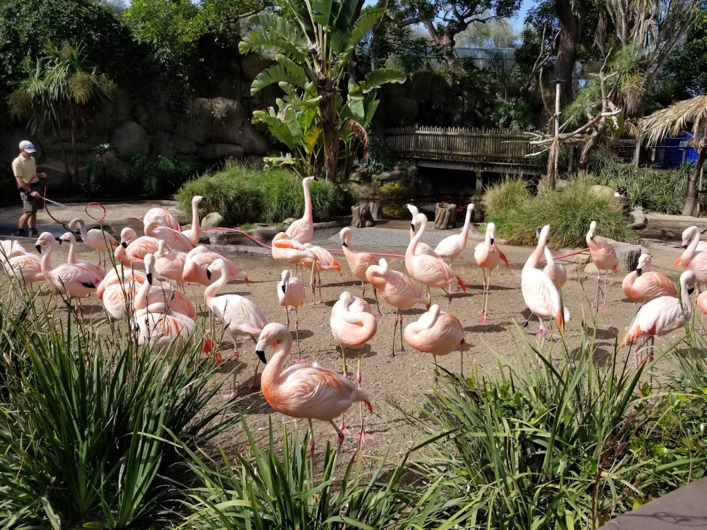 Santa Barbara Zoo: Information, Tickets and Reviews