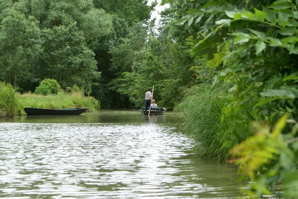 THE BIRDS OF THE POITEVIN MARSH Ornithological Park and Embarkation ...