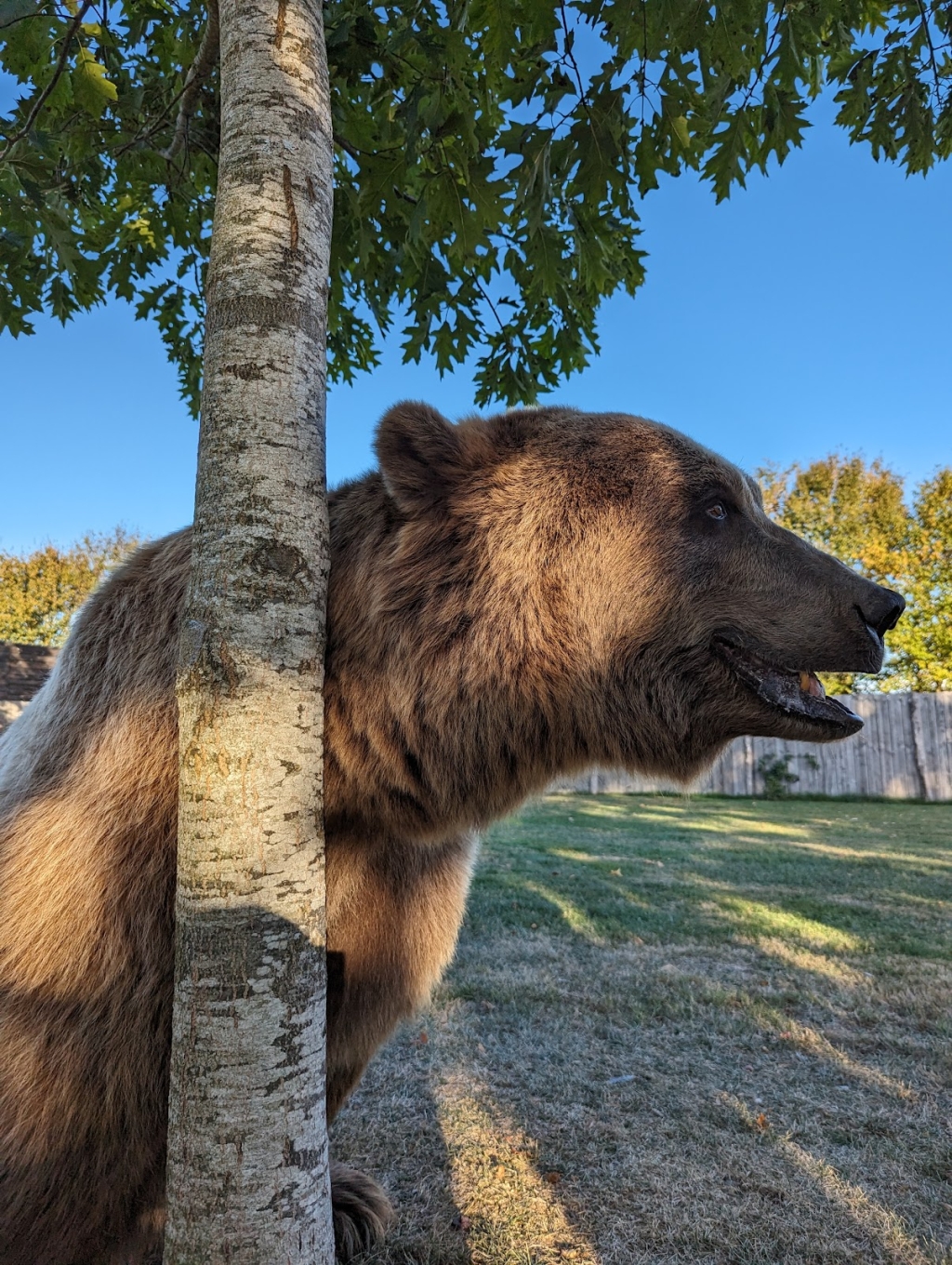 Animal Park of Pradinas, Villefranche-de-Rouergue: Information, Tickets ...