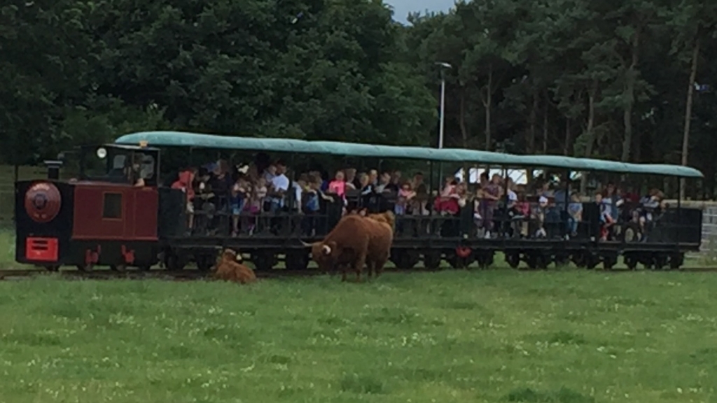 East Links Family Park, Dunbar: Information, Tickets and Reviews