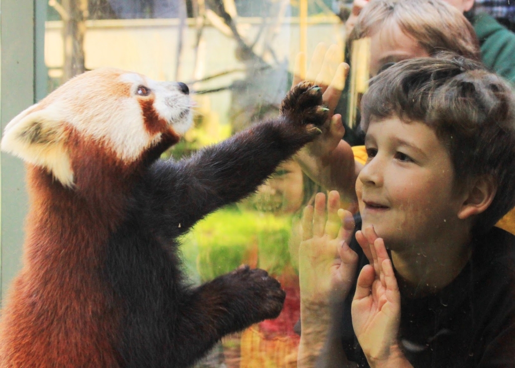 Sequoia Park Zoo, Eureka, CA: Information, Tickets and Reviews