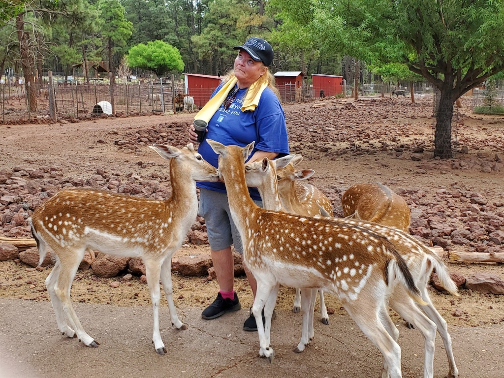 Grand Canyon Deer Farm, Williams, AZ: Information, Tickets and Reviews