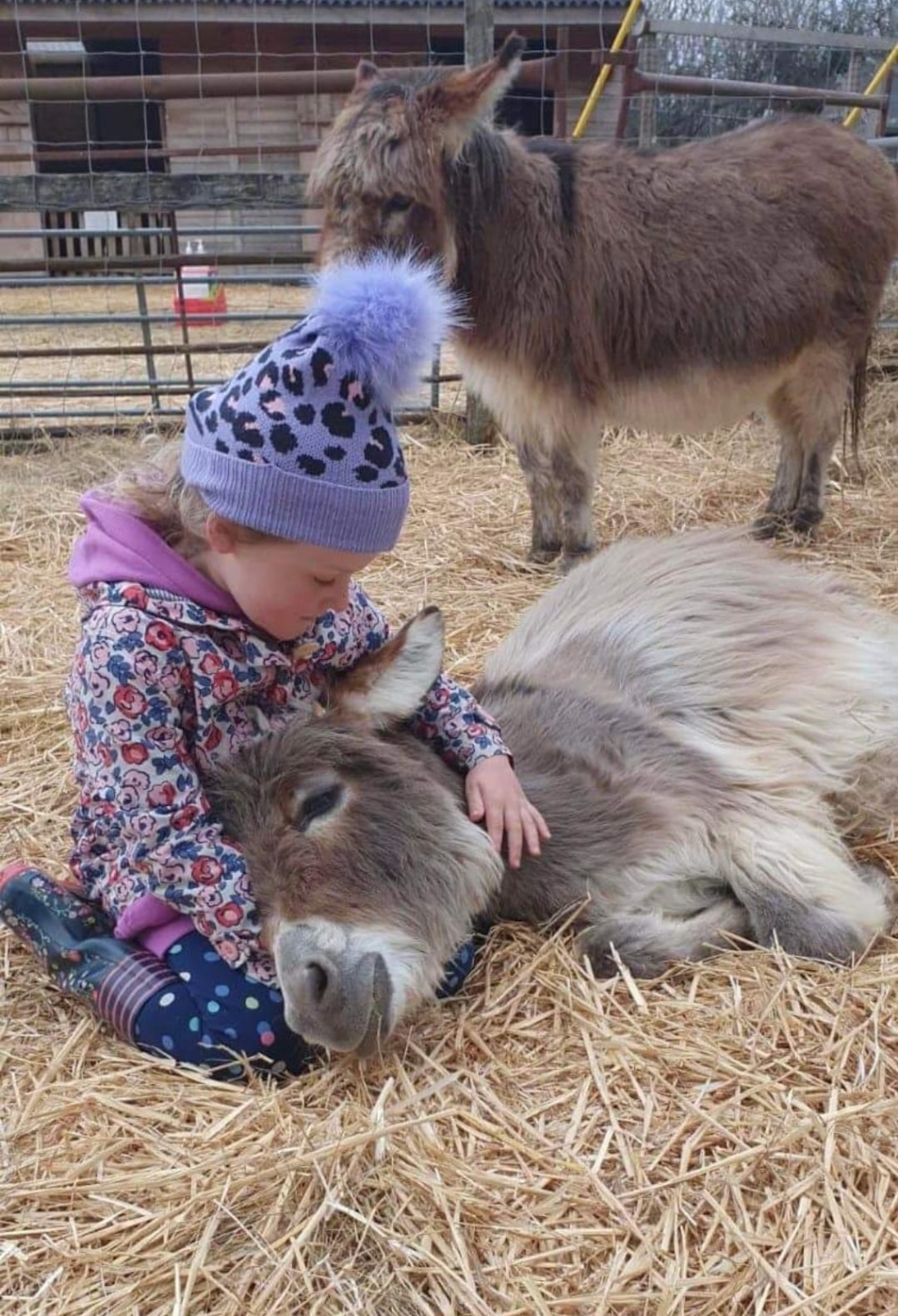 Miller's Ark Animals, Hook: Information, Tickets and Reviews