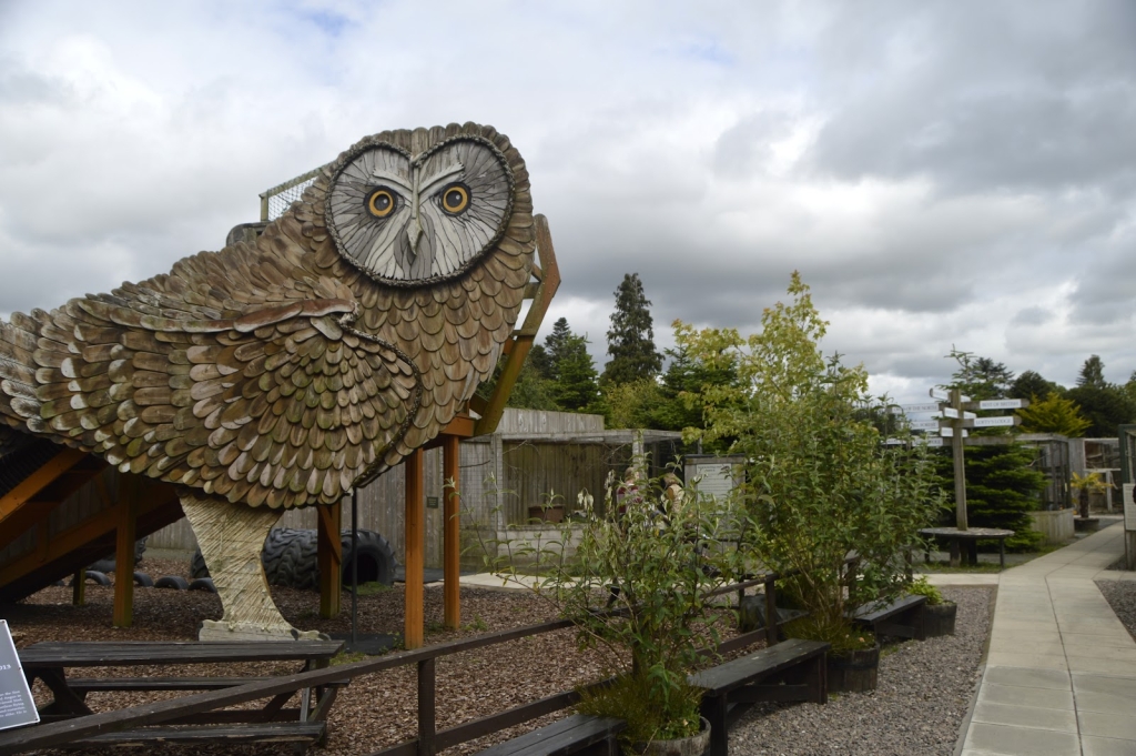Scottish Owl Centre, Bathgate: Information, Tickets and Reviews