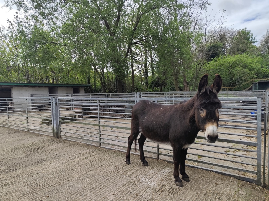 Rice Lane City Farm, Liverpool: Information, Tickets and Reviews