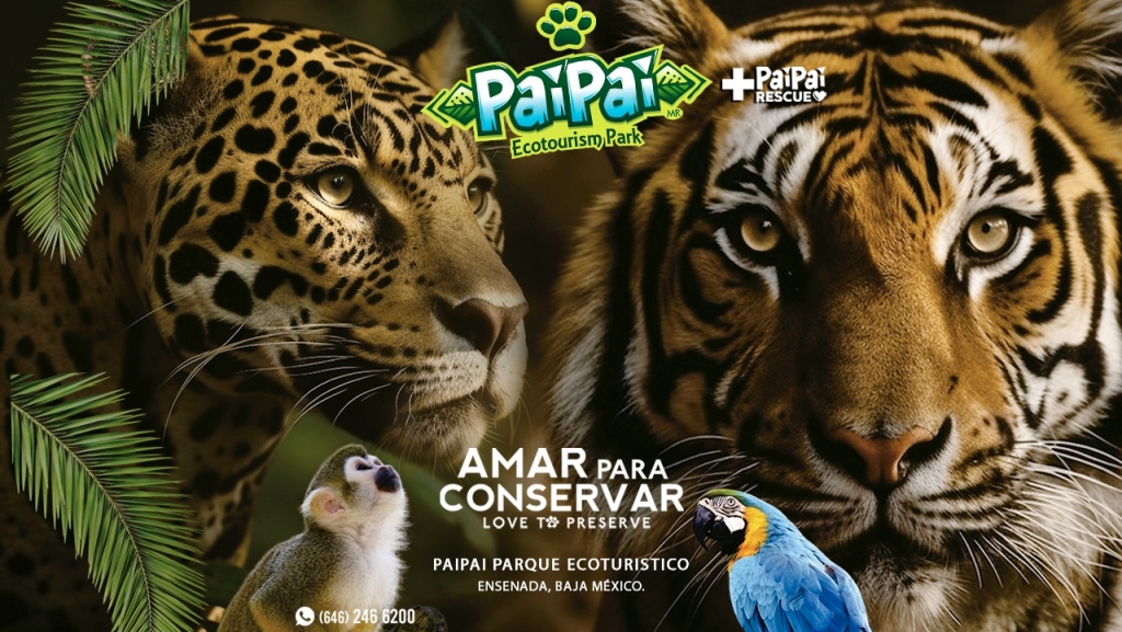 Parque Ecoturístico Pai Pai, Ensenada: Información, Entradas y Opiniones