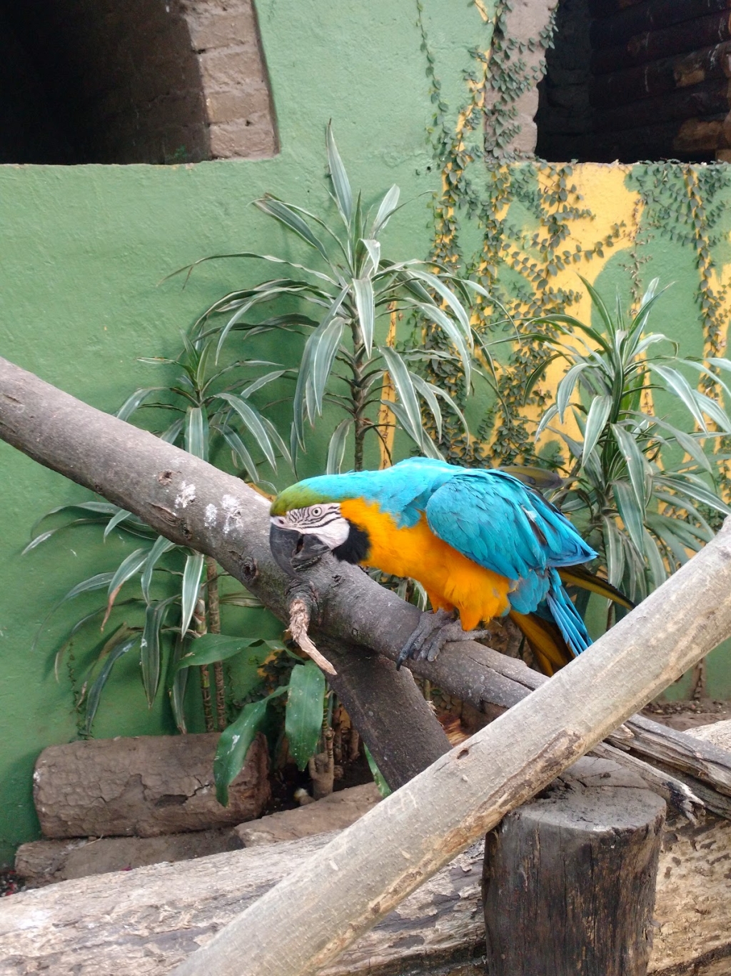 Orizaba Aviary: Information, Tickets and Reviews