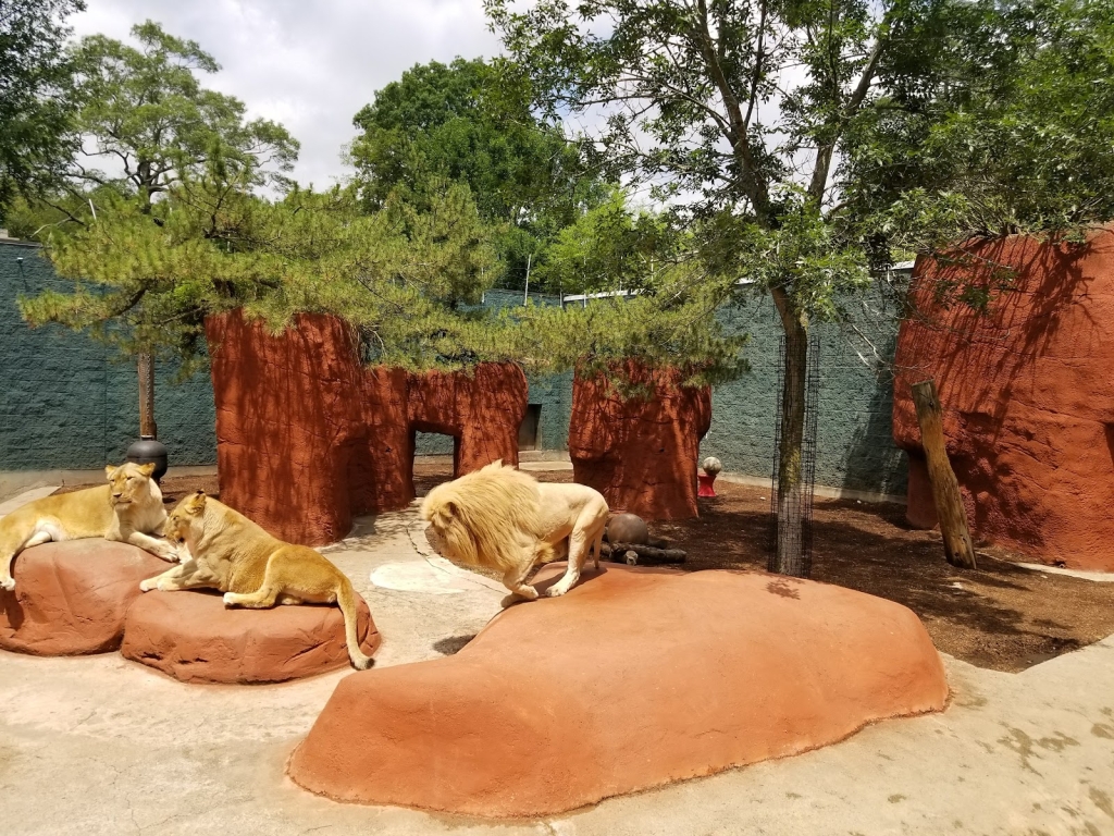 Capron Park Zoo, Attleboro, MA: Information, Tickets and Reviews