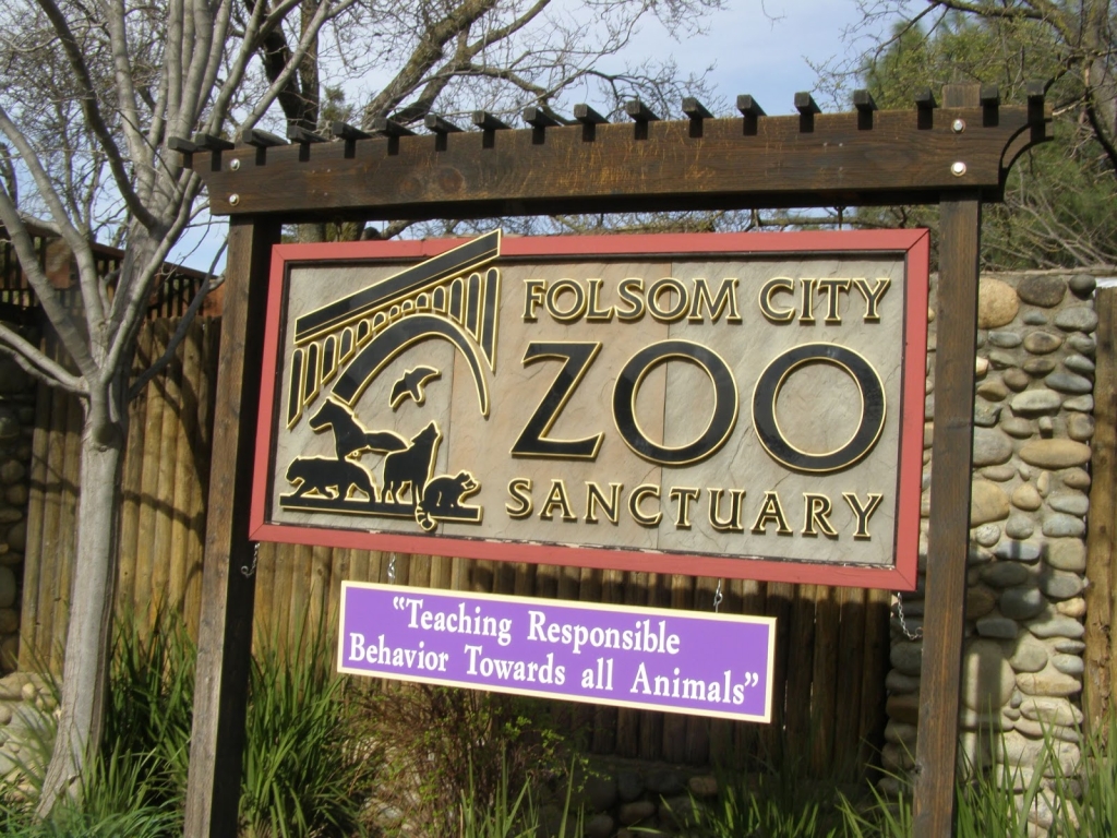 Folsom City Zoo Sanctuary: Information, Tickets and Reviews