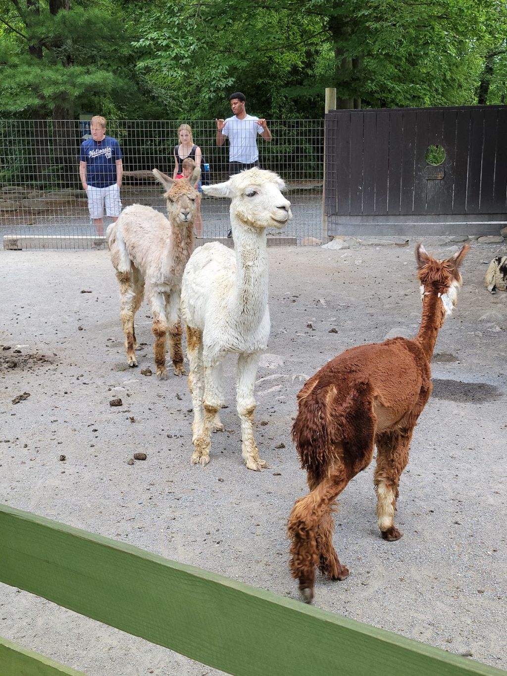 Catoctin Wildlife Preserve, Thurmont, MD: Information, Tickets and Reviews