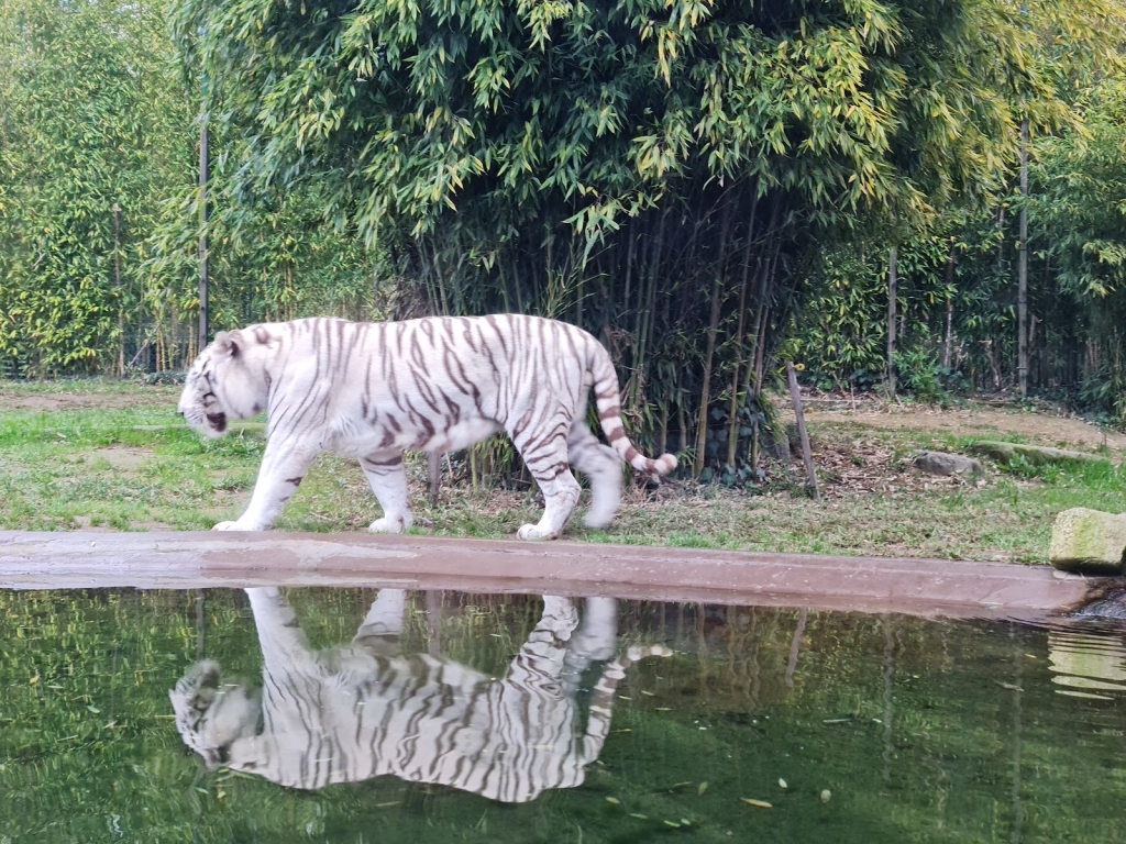 Maia Zoo: Information, Tickets and Reviews