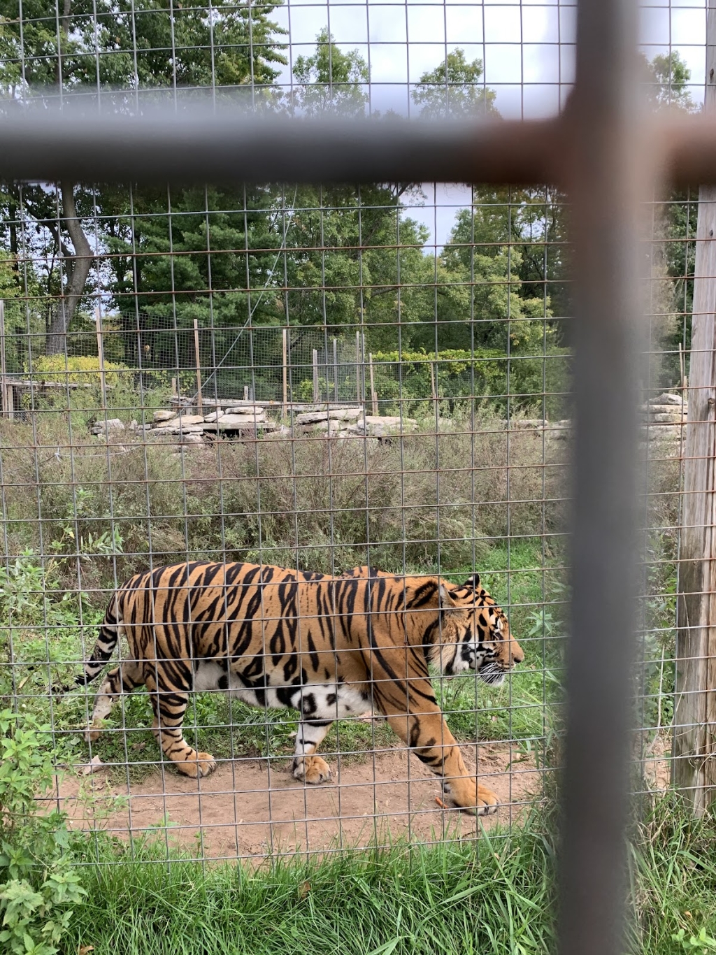 DeYoung Family Zoo, Wallace, MI: Information, Tickets and Reviews