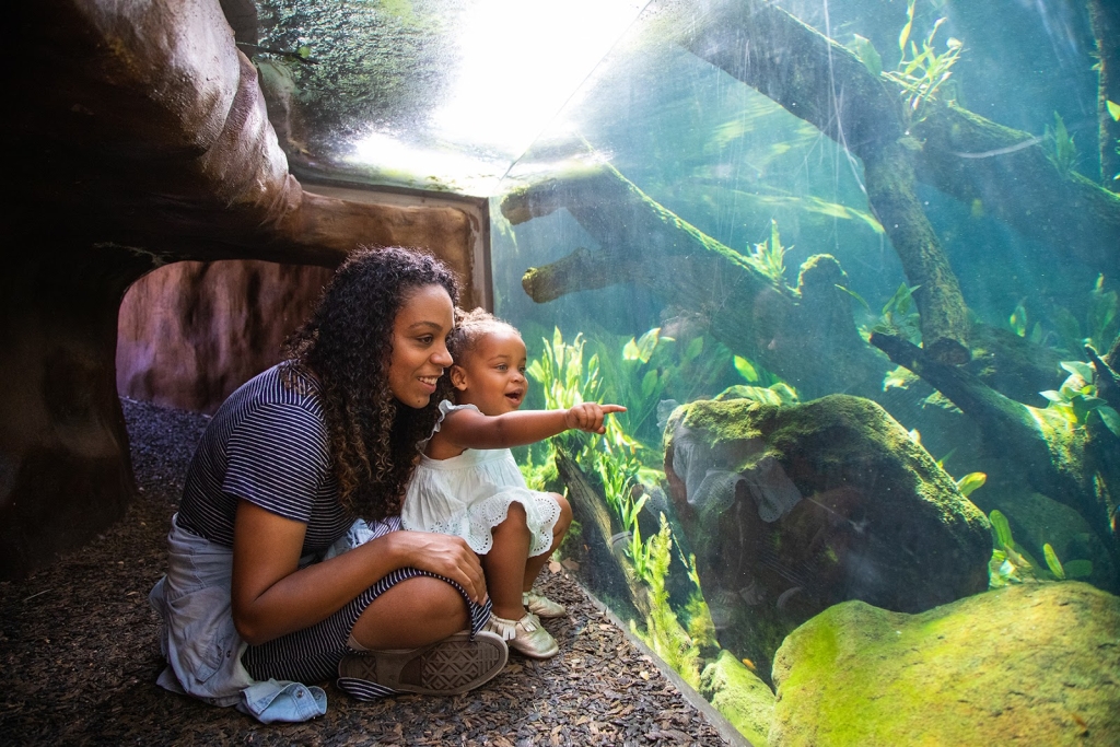 Palo Alto Junior Museum and Zoo: Information, Tickets and Reviews