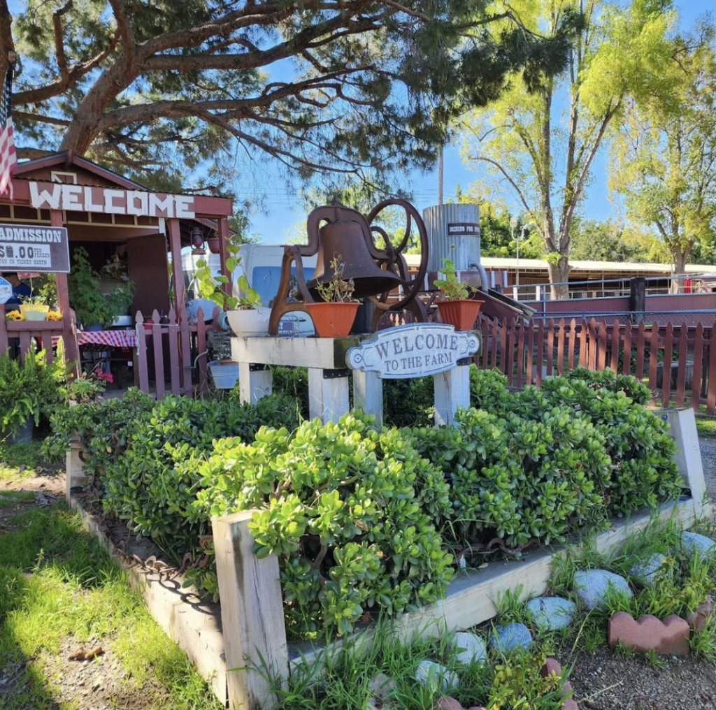 Montebello Barnyard Zoo: Information, Tickets and Reviews