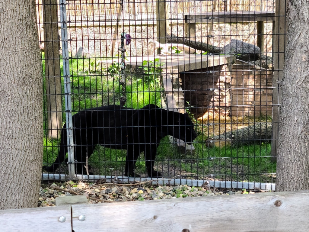 Bramble Park Zoo, Watertown, SD: Information, Tickets and Reviews