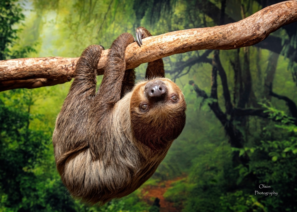 Summerfield Zoo, Belvidere, IL: Information, Tickets and Reviews