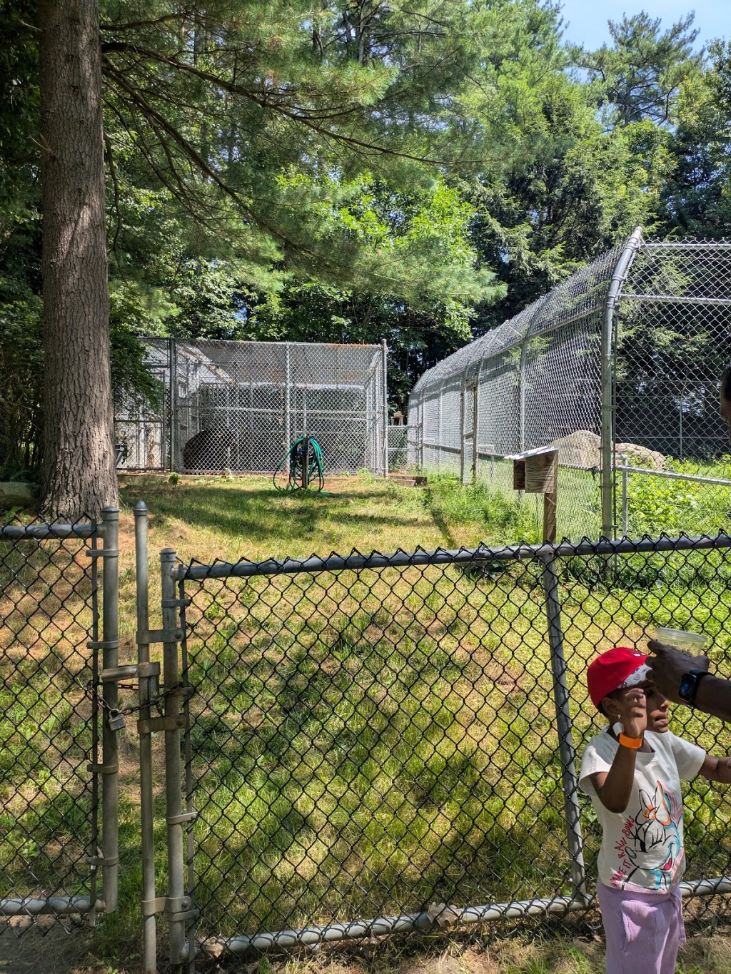 Charmingfare Farm, Manchester, NH: Information, Tickets and Reviews