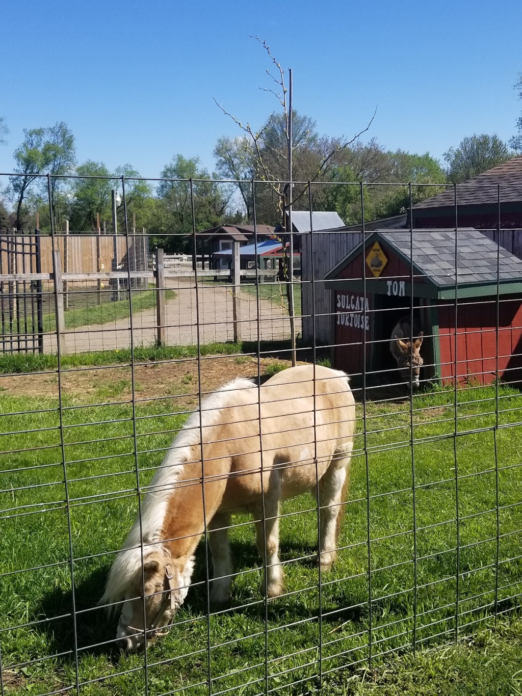 Carousel Acres, Inc., South Lyon, MI: Information, Tickets and Reviews