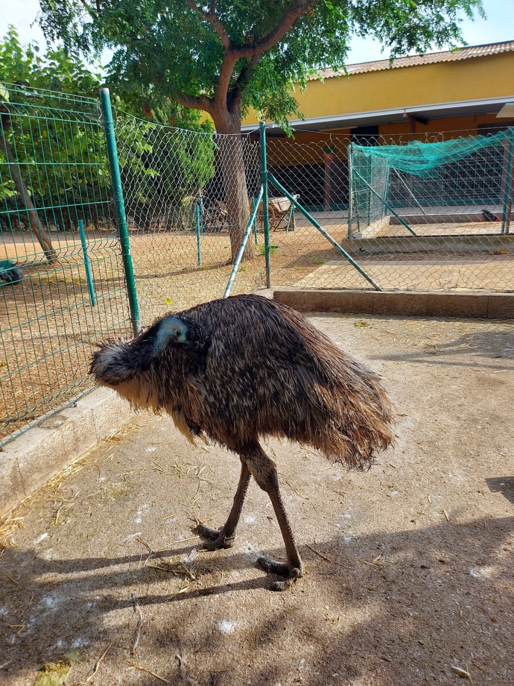 Mas D'En Joan Farm School-Zoological Nucleus, Benicarló: Information ...